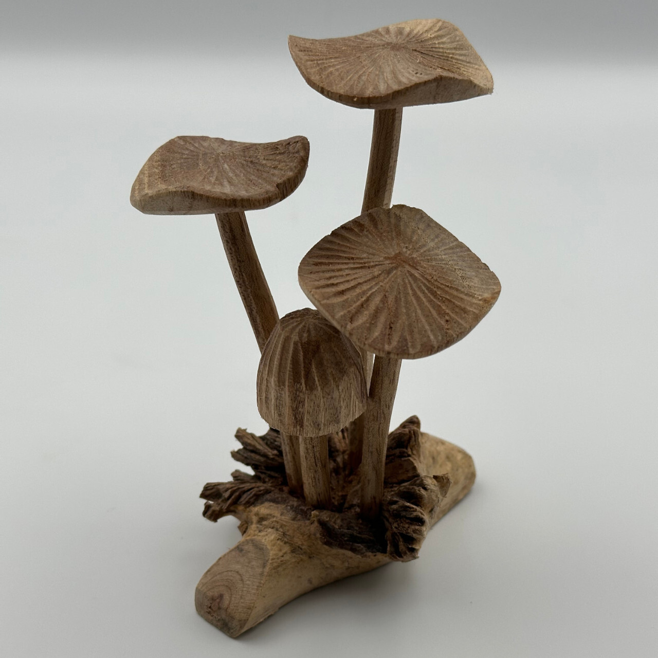 Our Merch | Stickers, Scrunchies & More | Spore Genetics